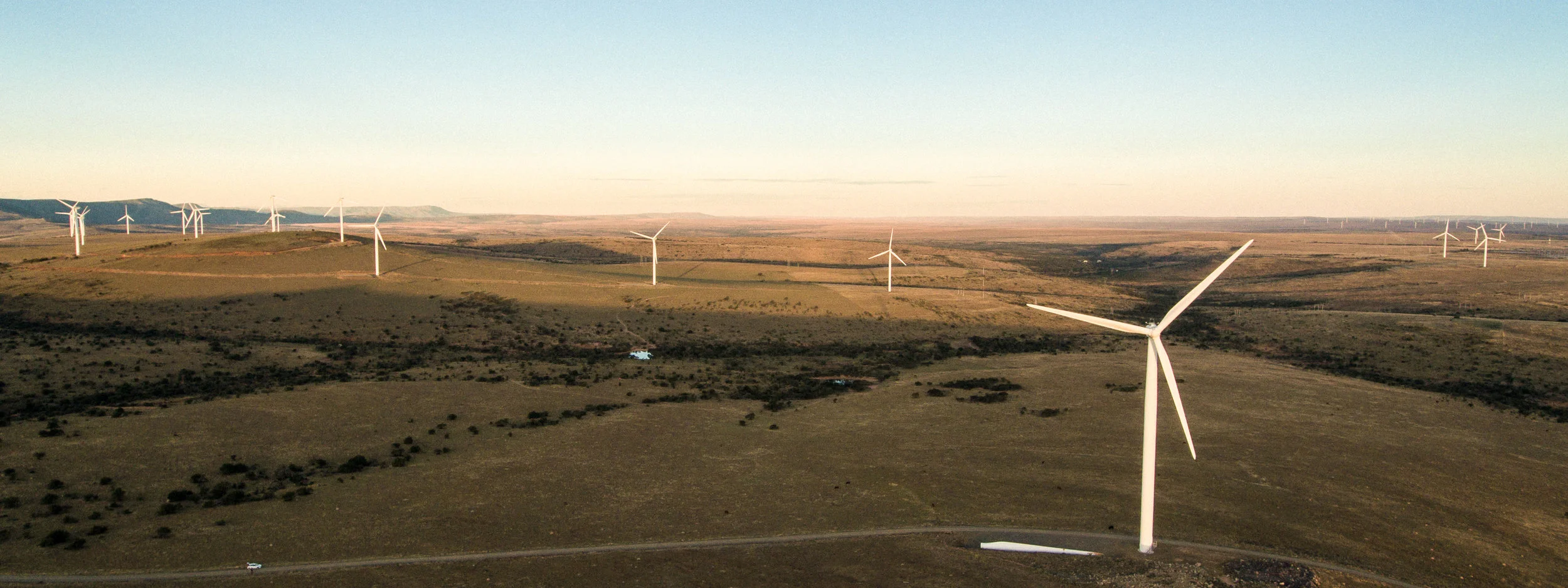 Cookhouse Wind Farm — Aced