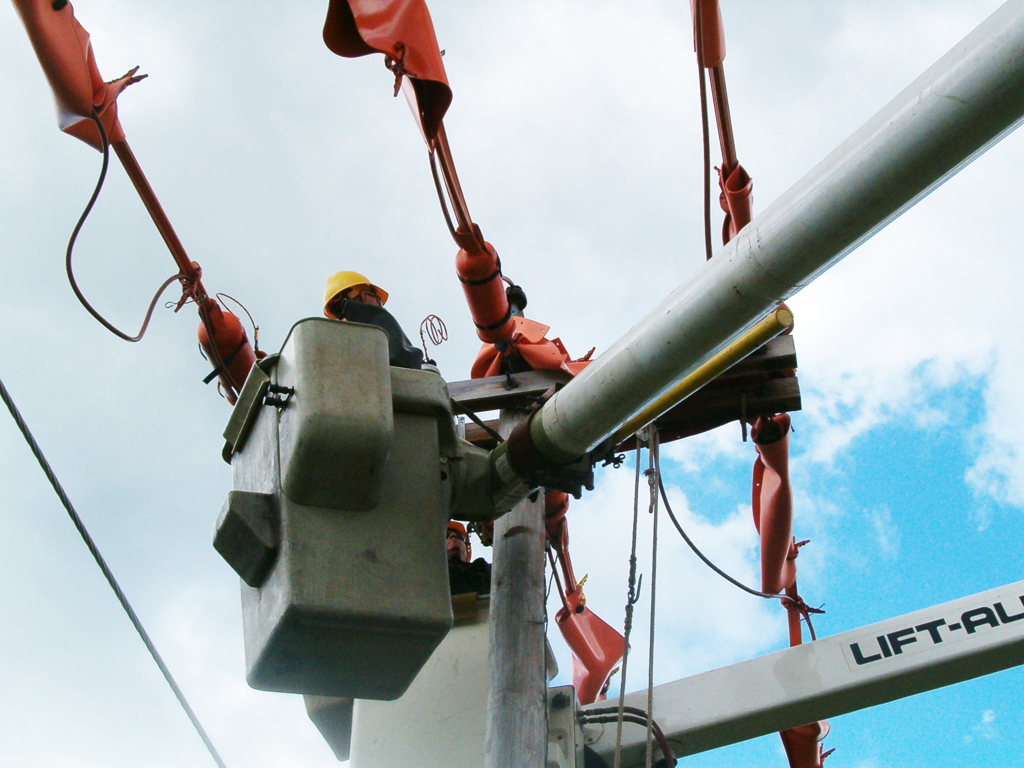 New York Association of Public Power