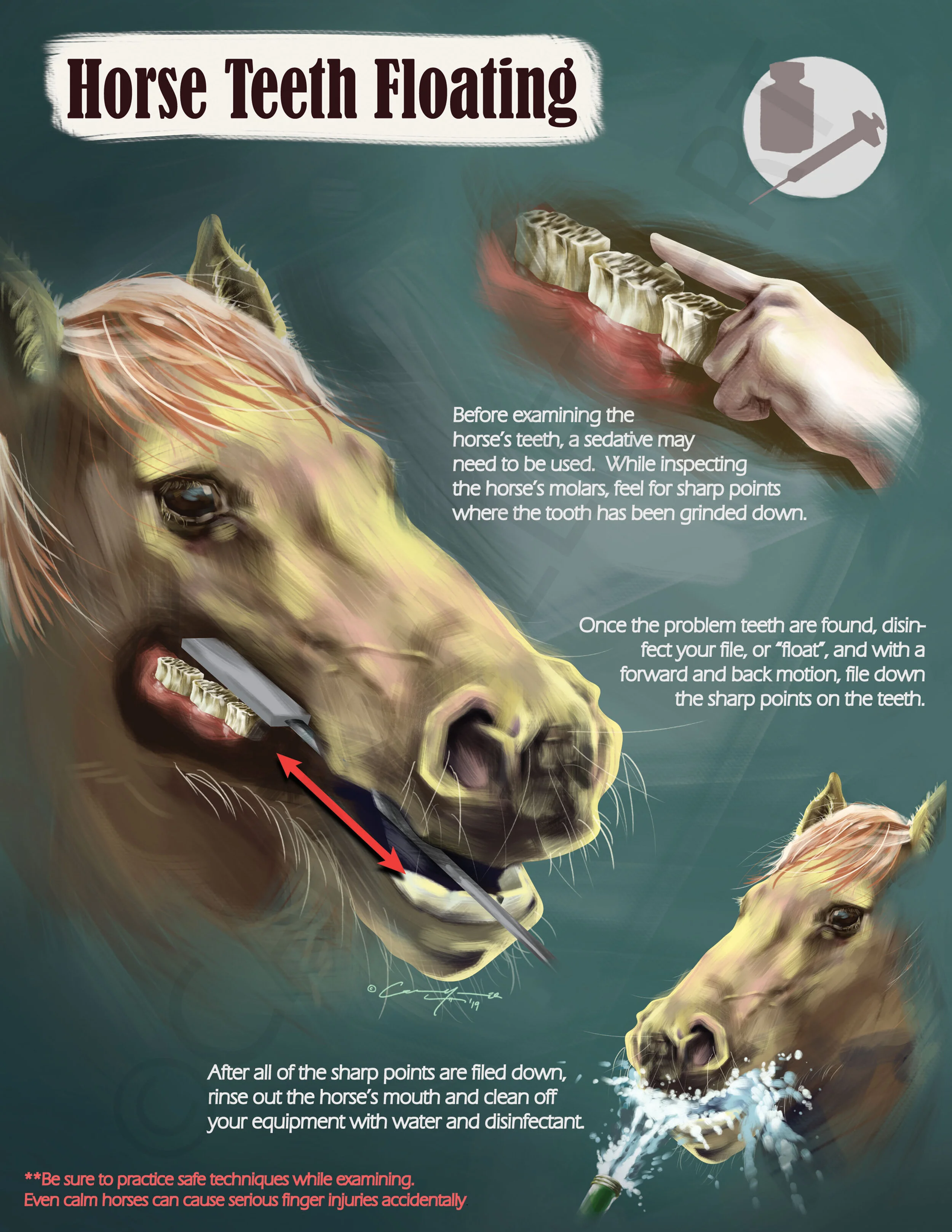 Horse Teeth Floating Graphics