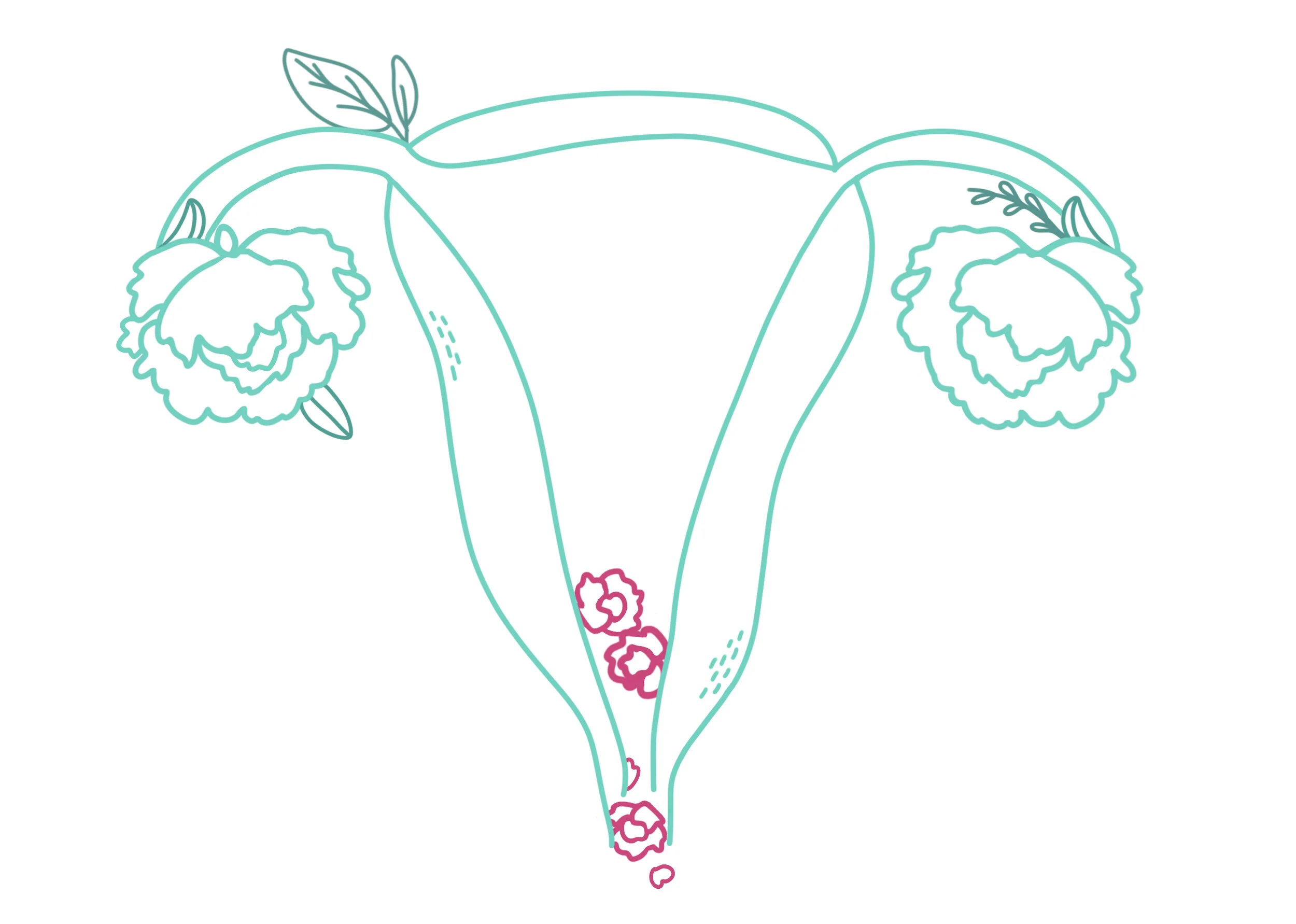 How To Use The Fertility Awareness Method — Jenna Longoria