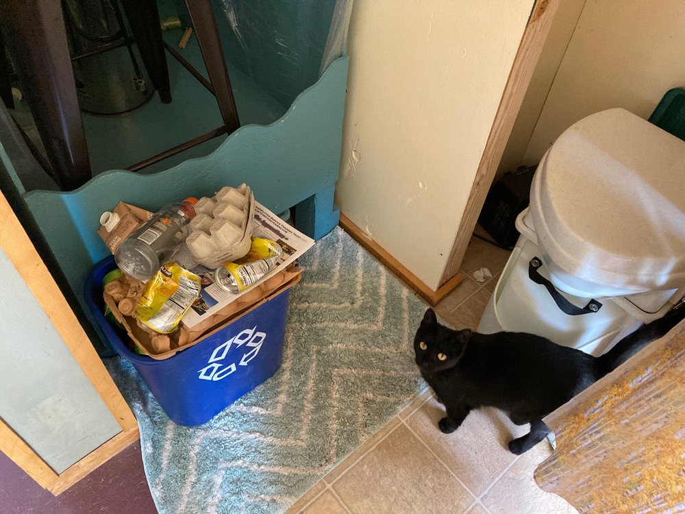 Earth Day Pledges — Green Ninja