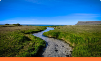 Pollution and Waste - Grade 6 Science Unit — Green Ninja