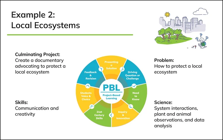 Project-Based Learning Examples — Green Ninja