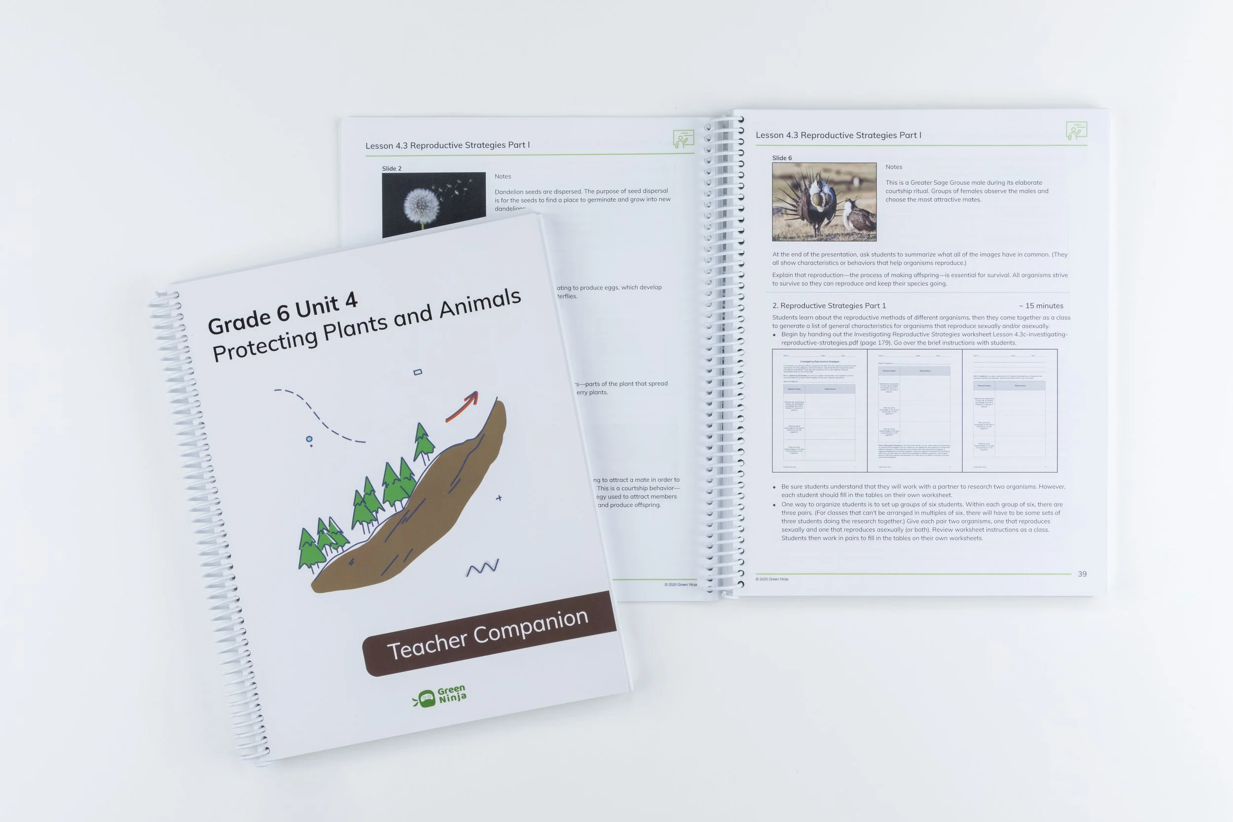 Plants and Animals - Grade 6 Science Unit — Green Ninja