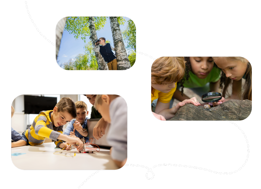 About Us — Green Ninja