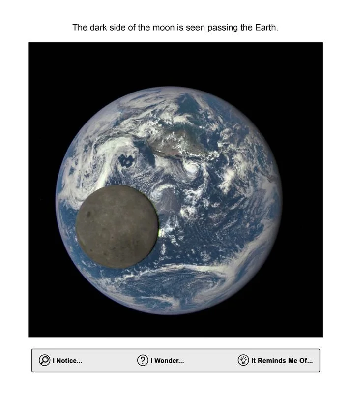 NGSS Phenomenon vs. Phenomena? What's the difference? — Green Ninja