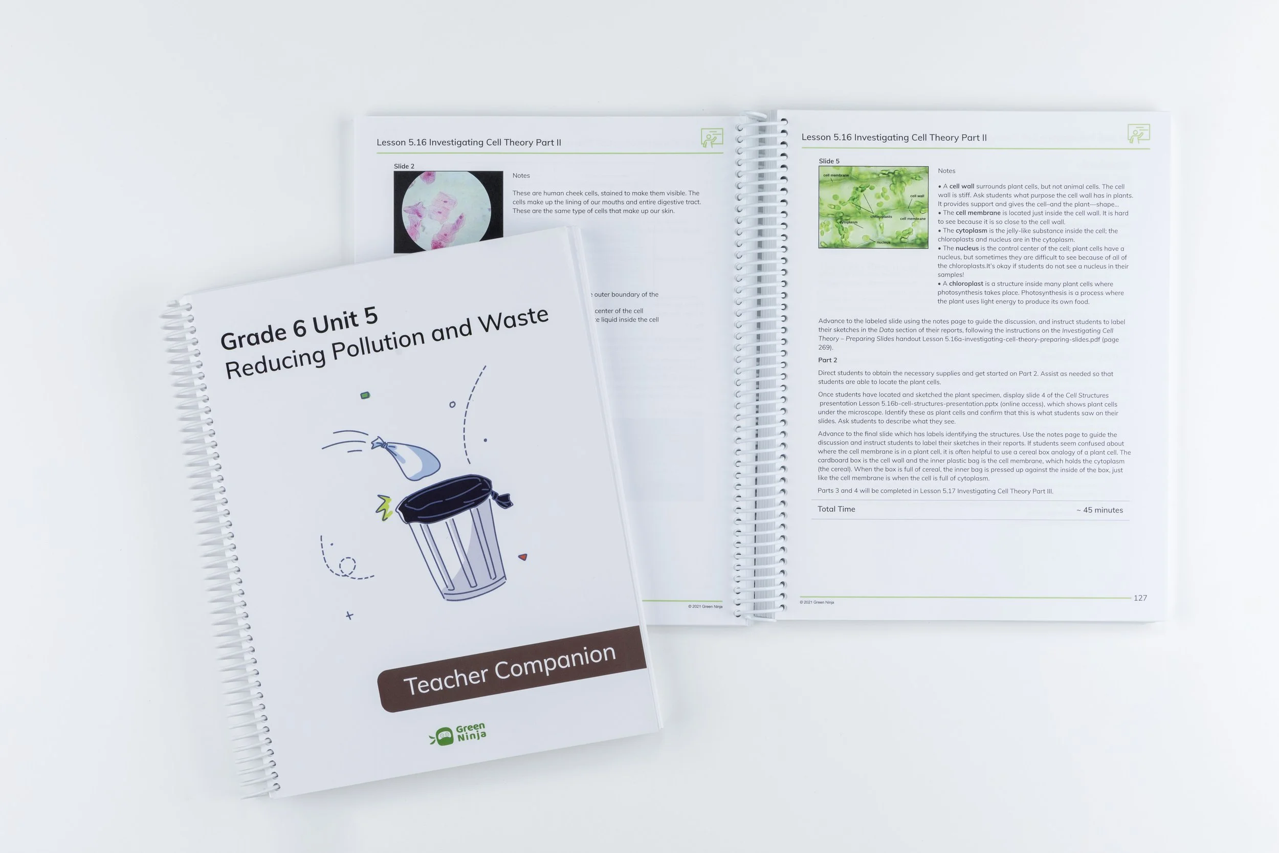 Pollution and Waste - Grade 6 Science Unit — Green Ninja