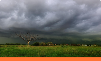 Weather and Climate - Grade 6 Science Unit — Green Ninja