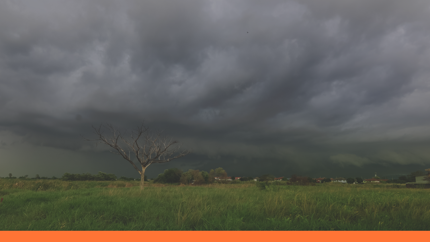 Weather and Climate - Grade 6 Science Unit — Green Ninja