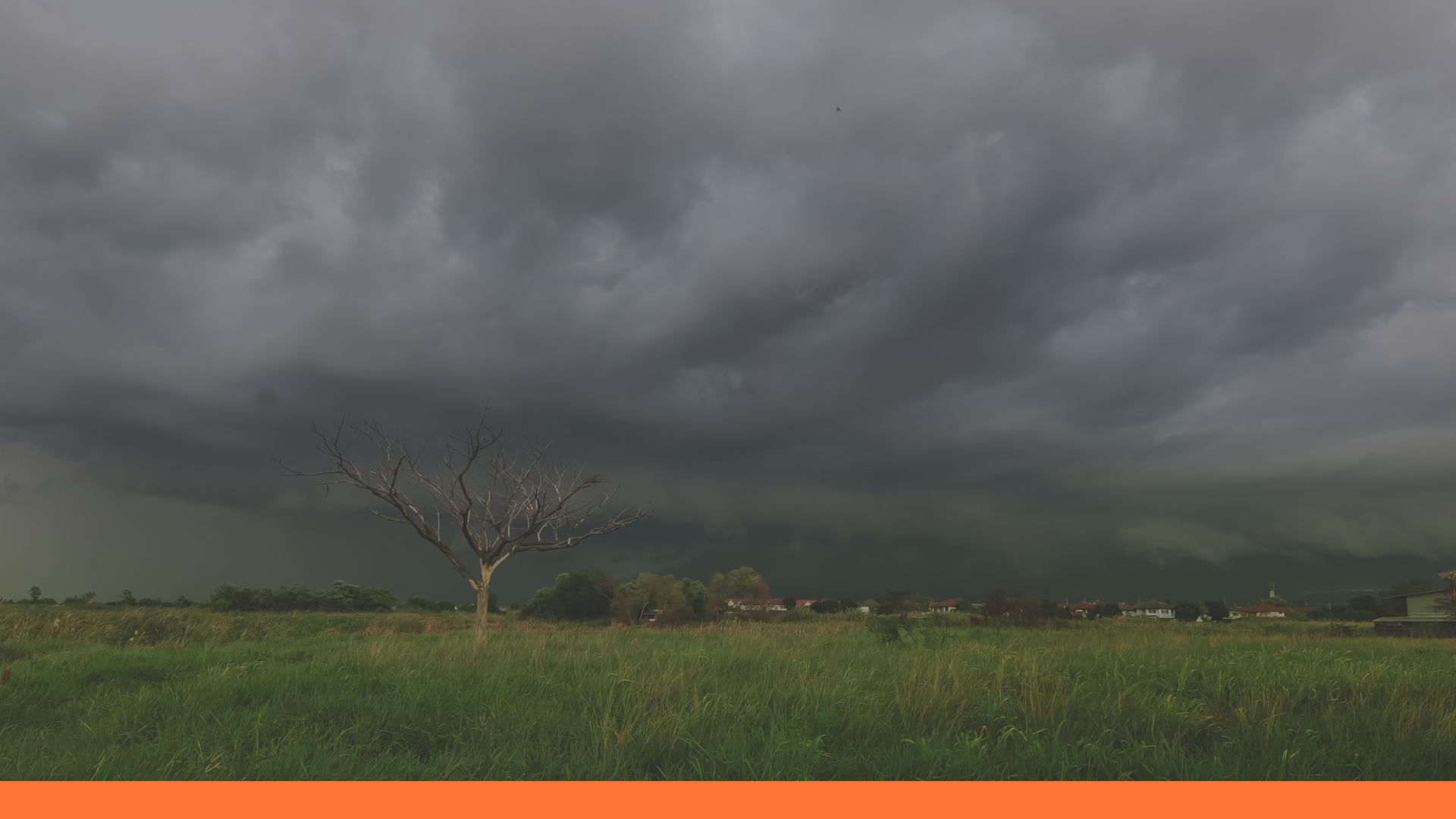 Weather and Climate - Grade 6 Science Unit — Green Ninja