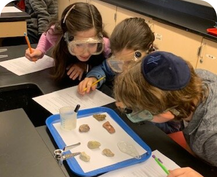 Middle School Science Curriculum - Green Ninja