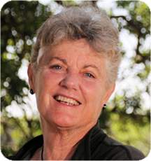 What are Professional Learning Communities (PLCs)? — Green Ninja