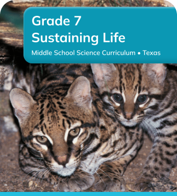 Texas Middle School Science Curriculum — Green Ninja