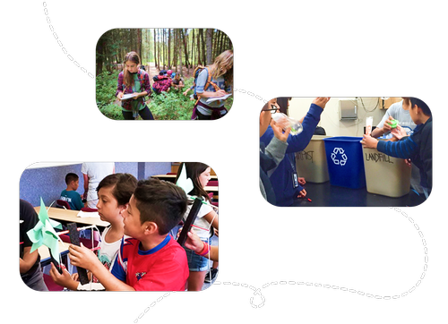 About Us — Green Ninja