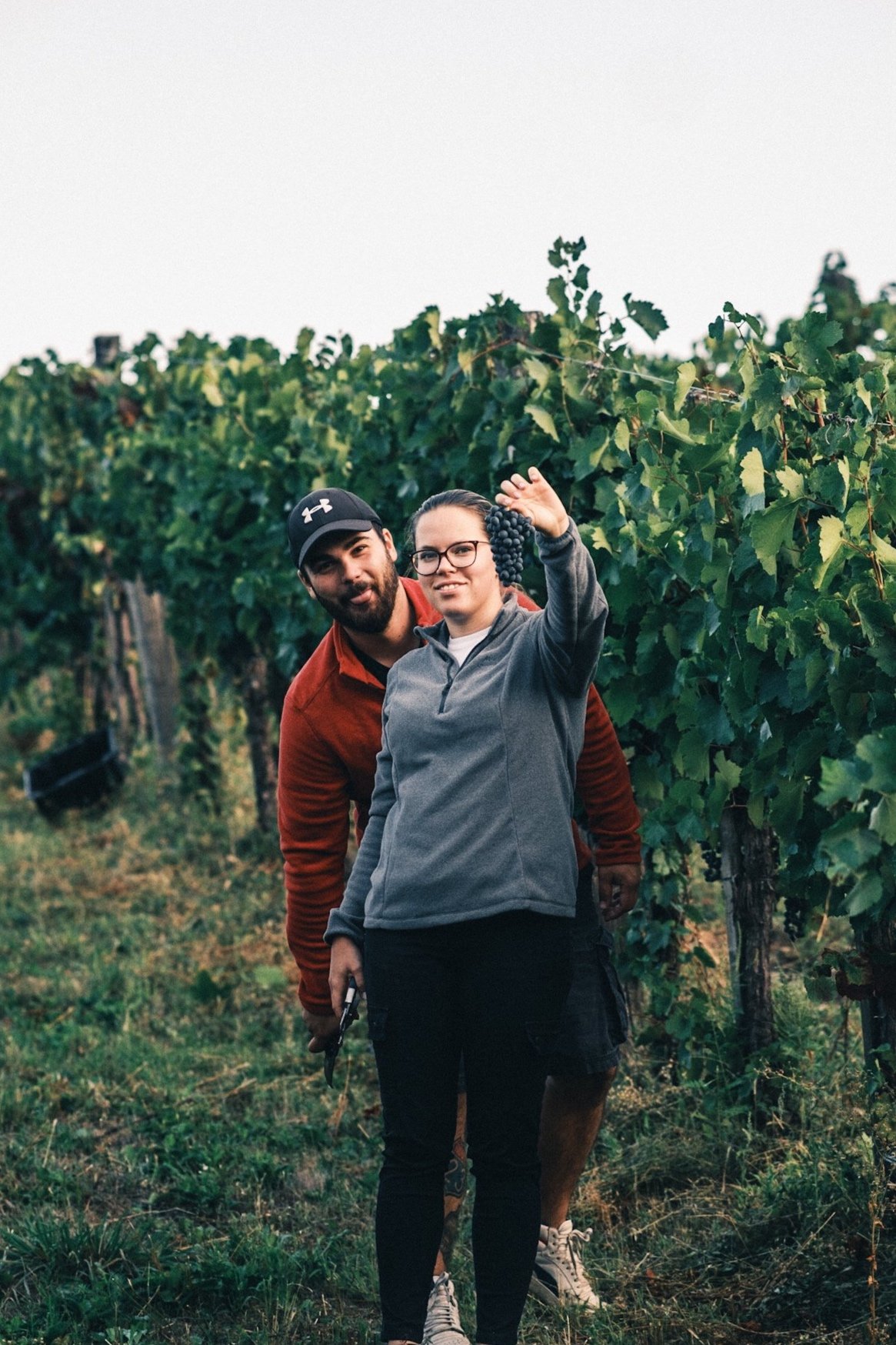 Palya Wines | Matra, Hungary — ROLAND WINES