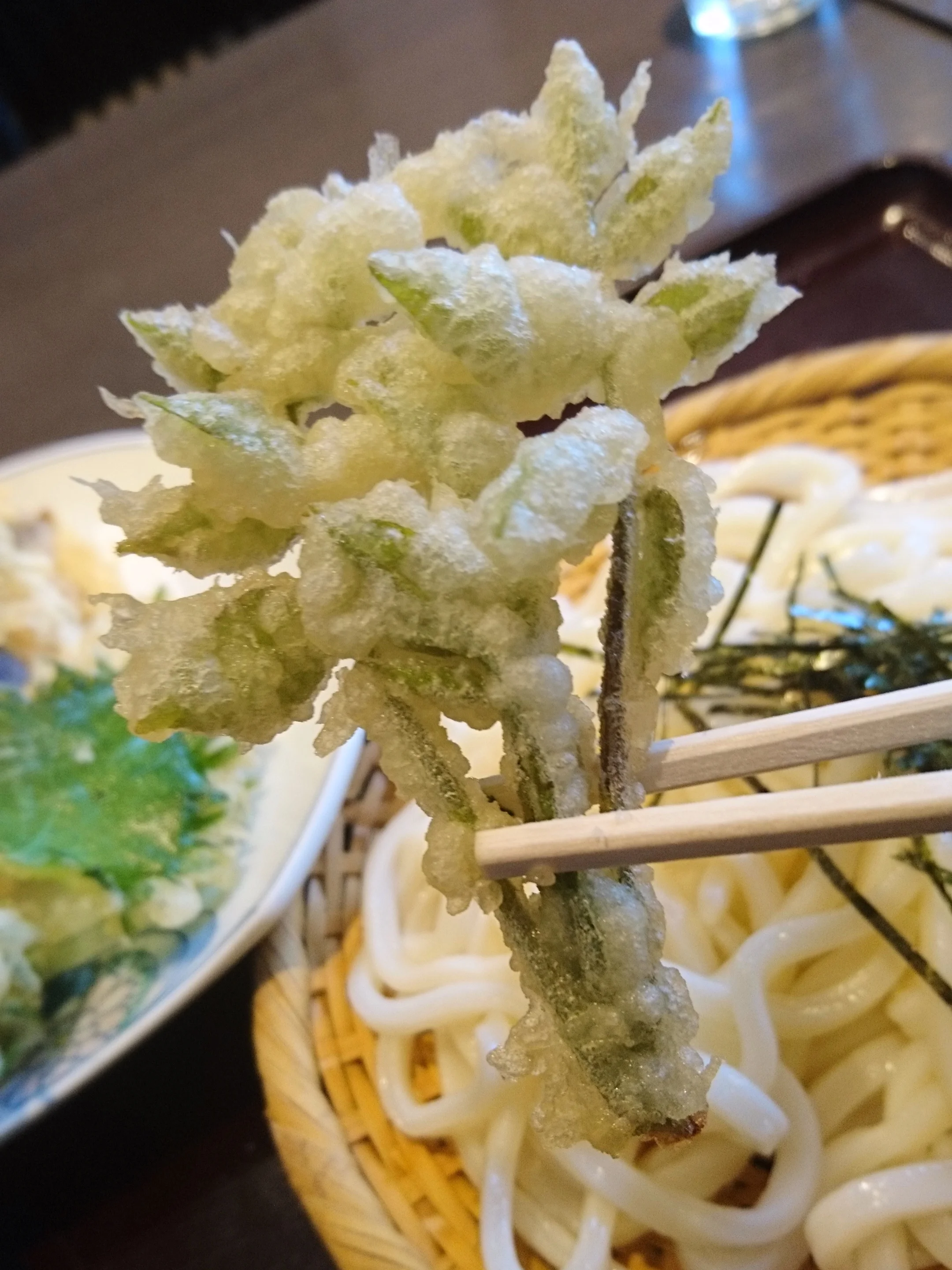 Urushi Trees — 漆 Suzanne Ross URUSHI