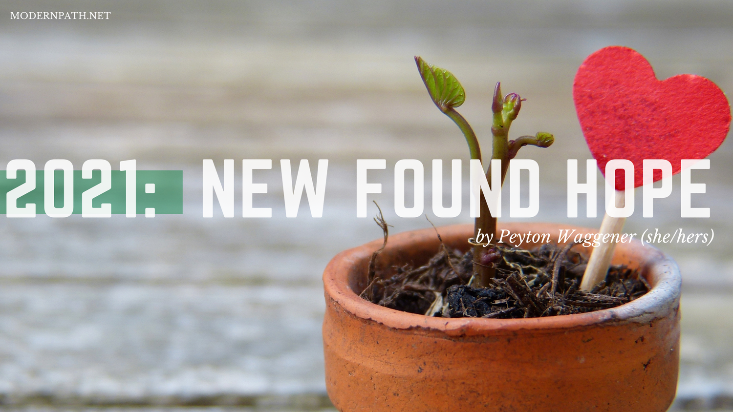 2021: New Found Hope — Modern Path