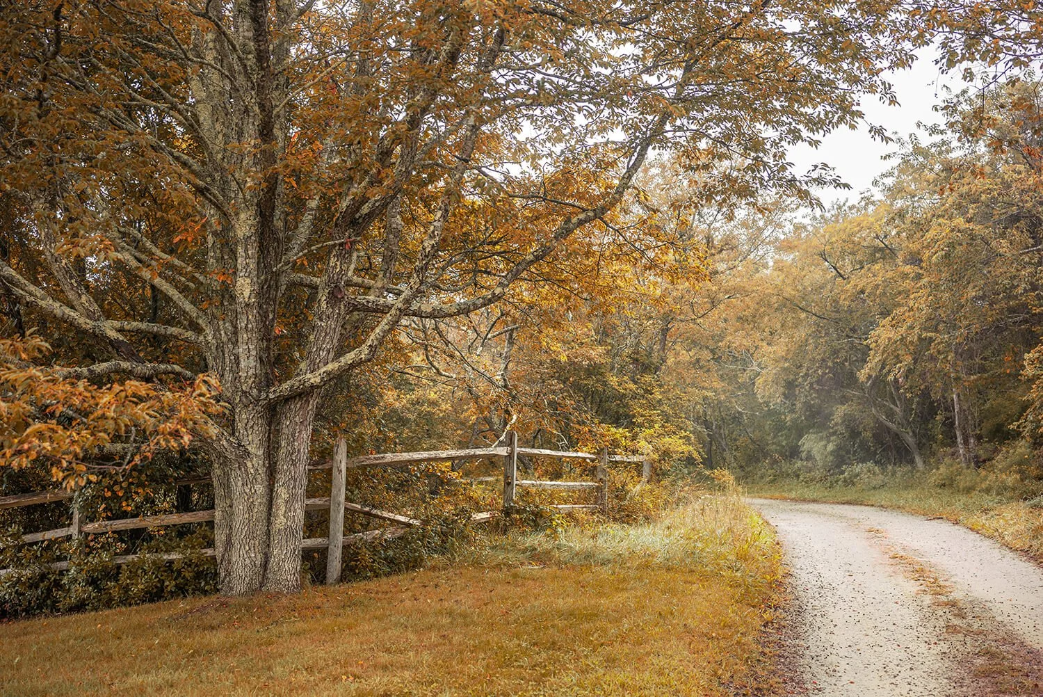 Coastal Wall Art | Barbara Bowen Photography