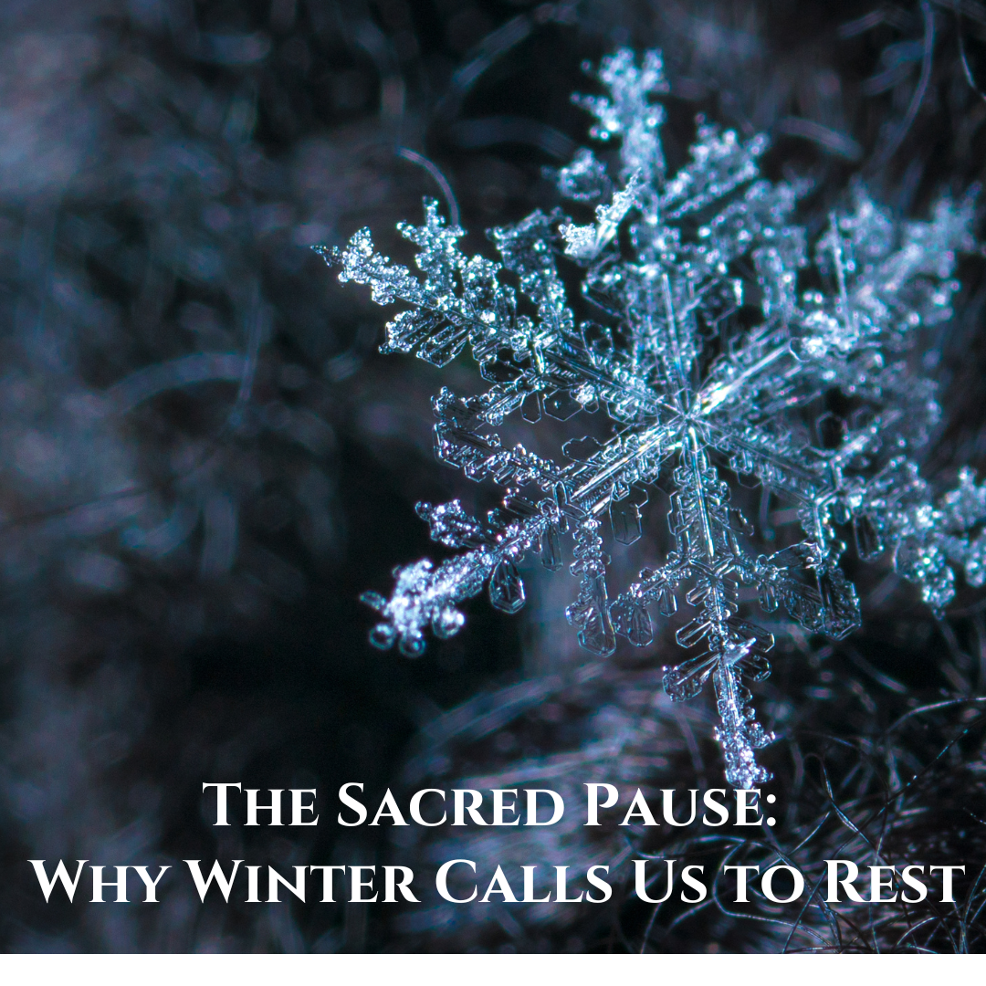 The Sacred Pause: Why Winter Calls Us to Rest — The Soul Institute