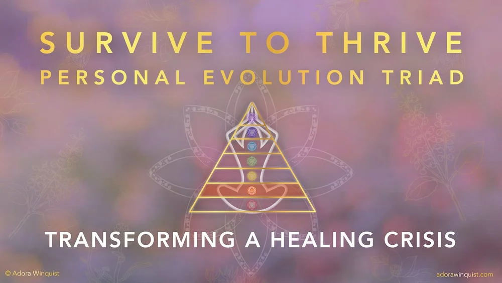 Survive to Thrive: Healing Crisis — The Soul Institute
