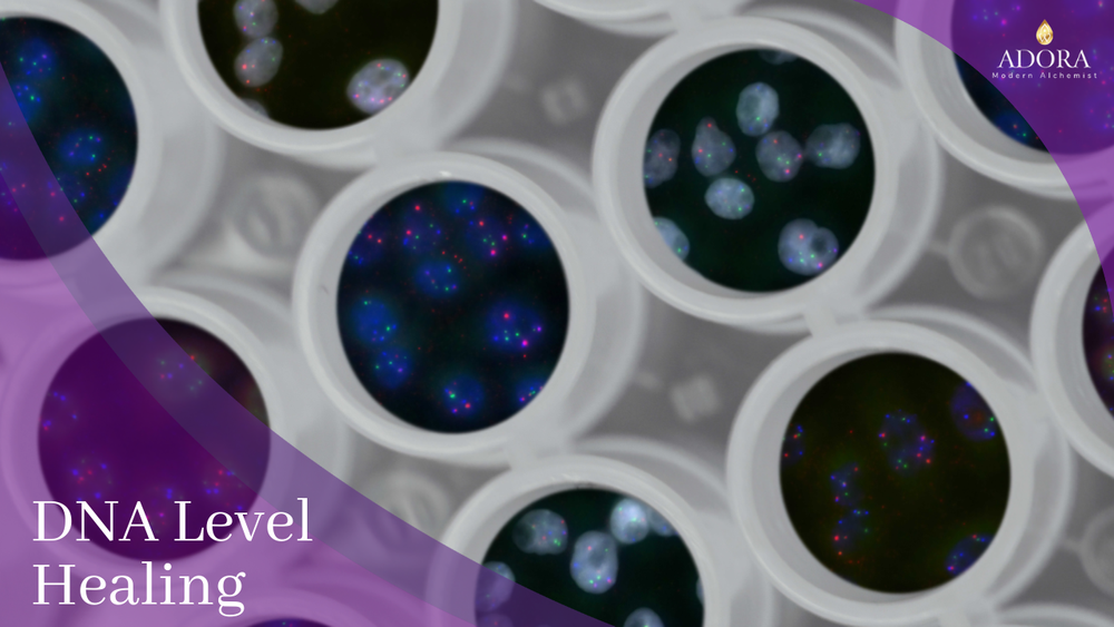 DNA Level Healing — The Soul Institute