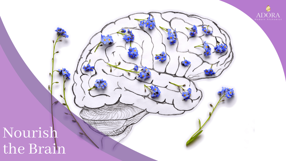 DNA Healing Level Series: Brain Nourish — The Soul Institute