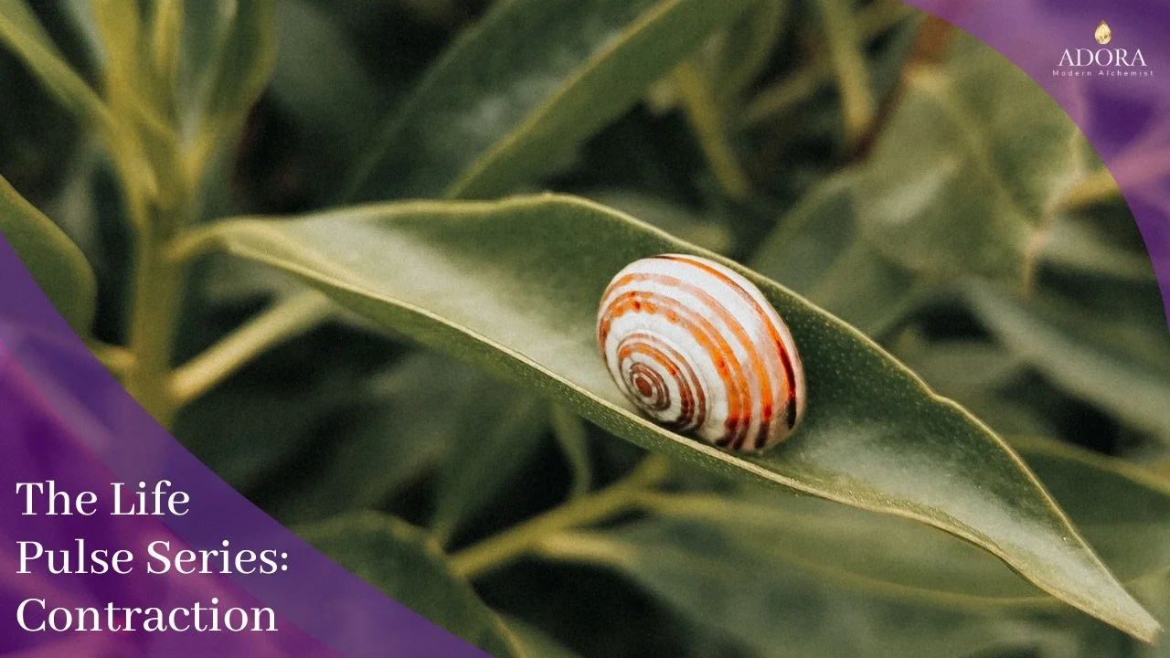 SOS: Life Pulse Series: Contraction — The Soul Institute