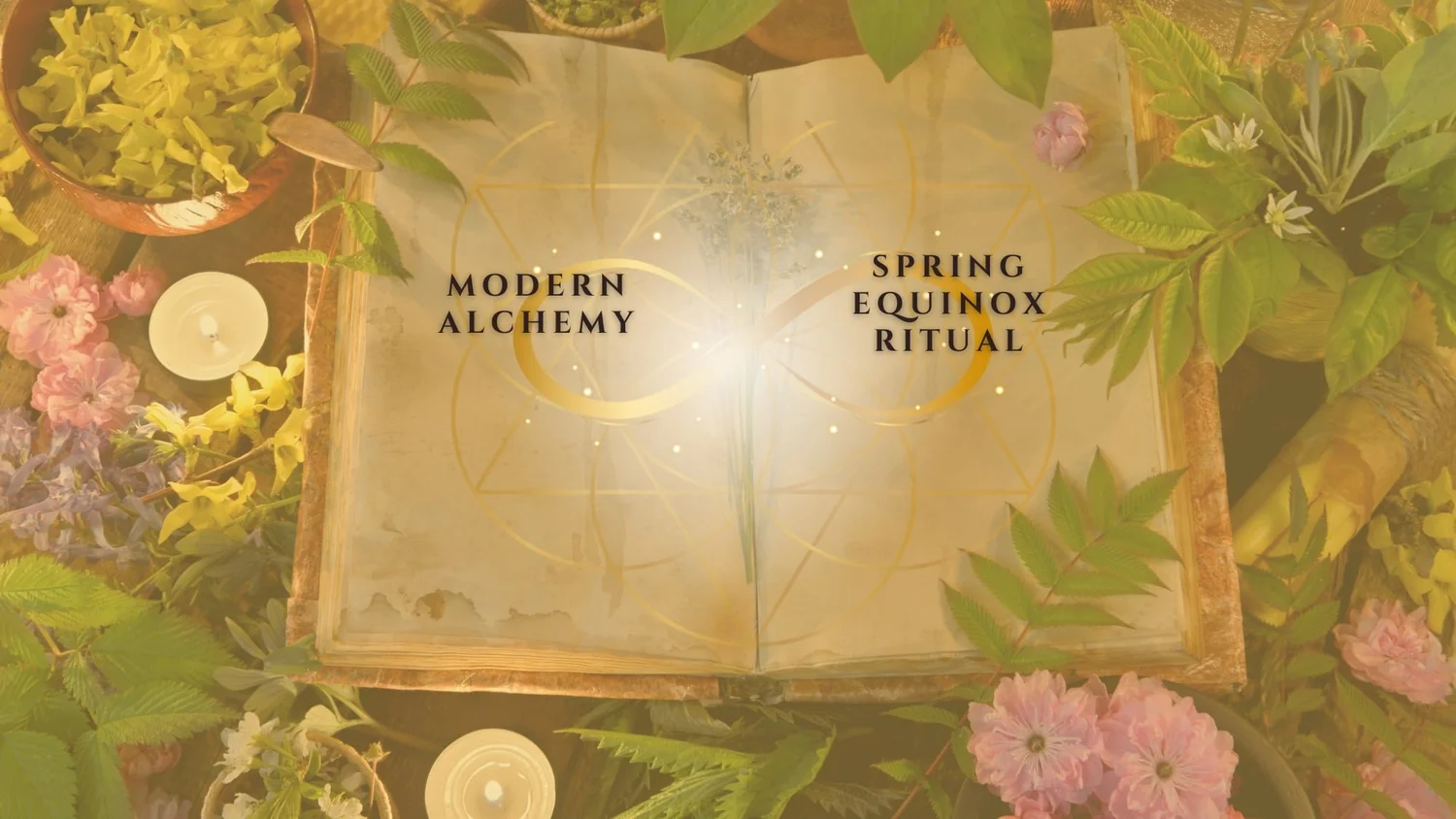 Modern Alchemy Spring Equinox Ritual: Plant the Seeds of Your Sacred ...