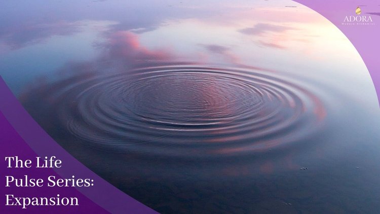 SOS: Life Pulse Series: Expansion — The Soul Institute