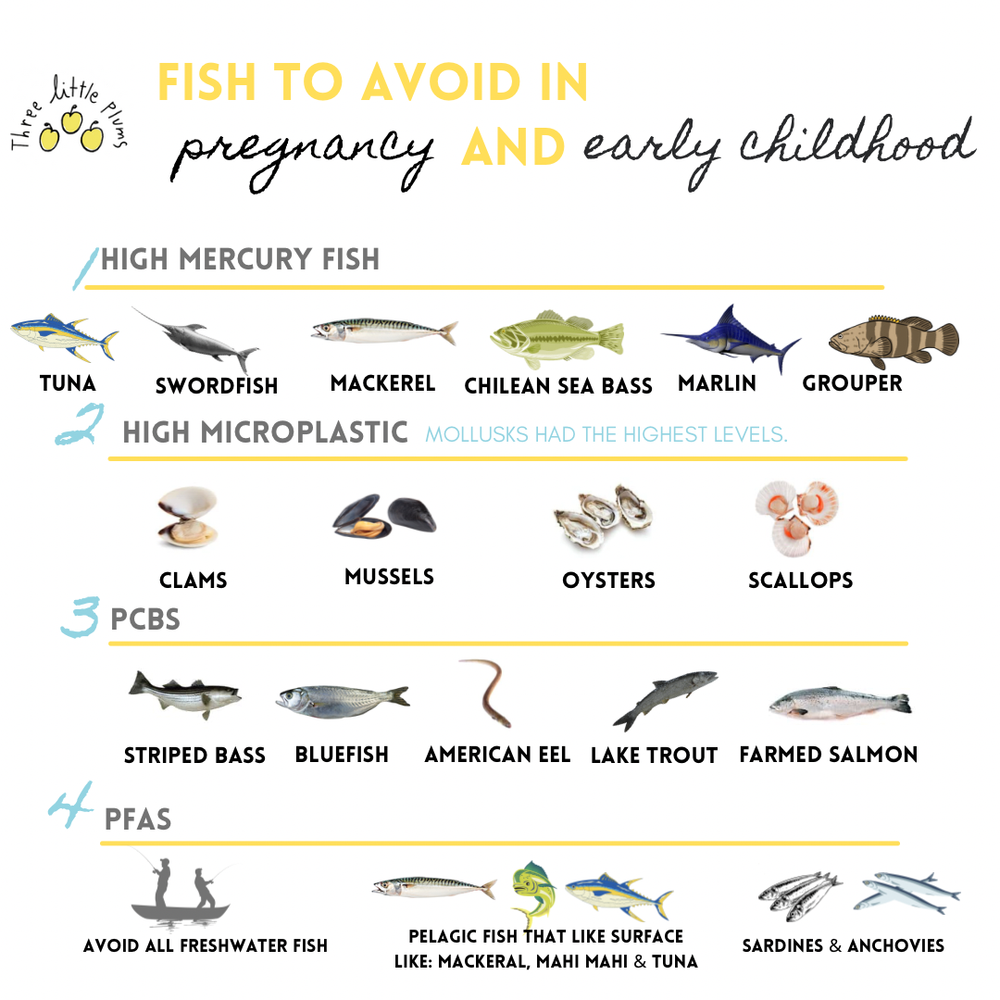 Mercury, PCB, Microplastics and PFAS... is it safe to eat Fish? — 3 ...