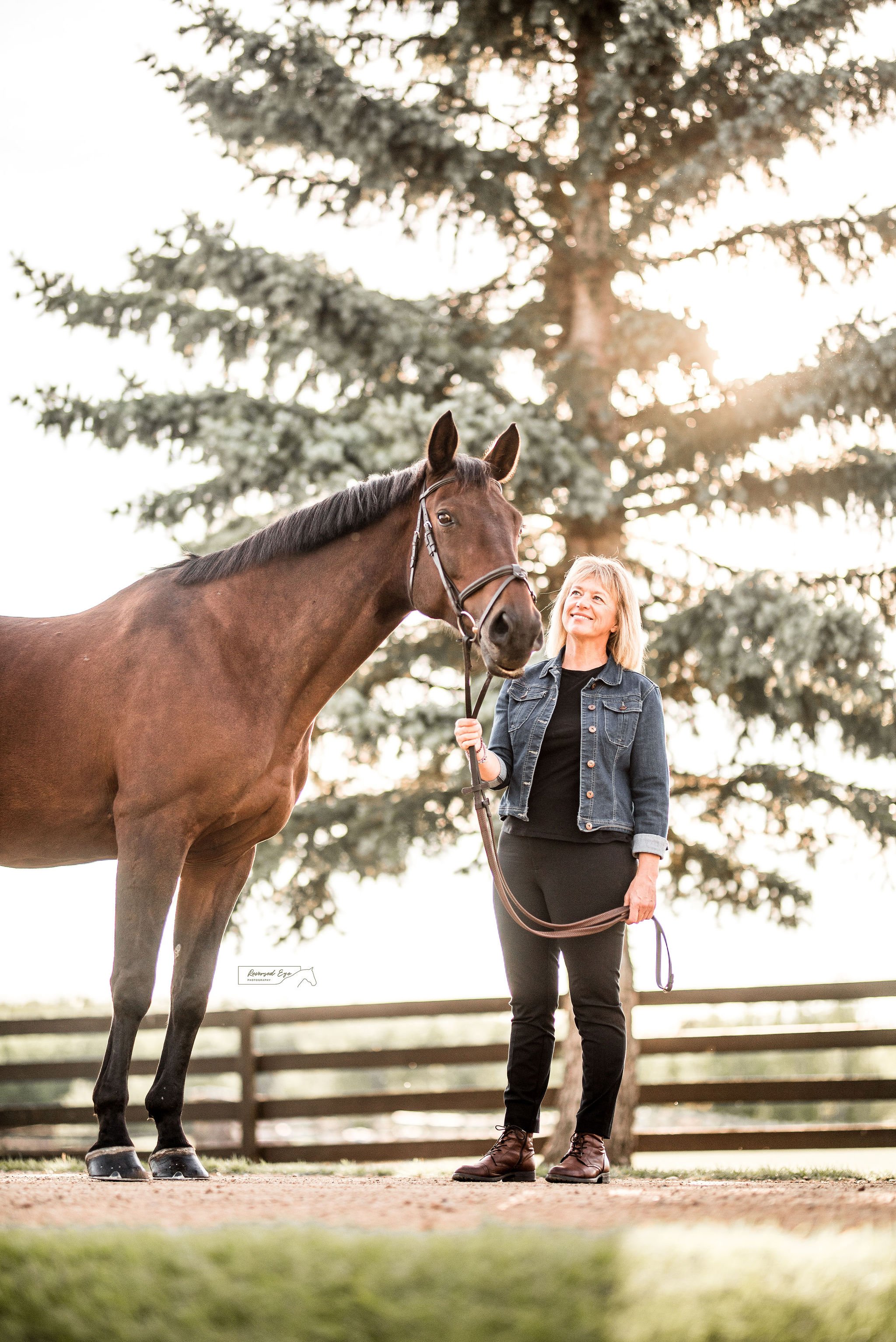 Golden Hour Horse and Rider Portraits // Ashbren Equine // Calgary ...