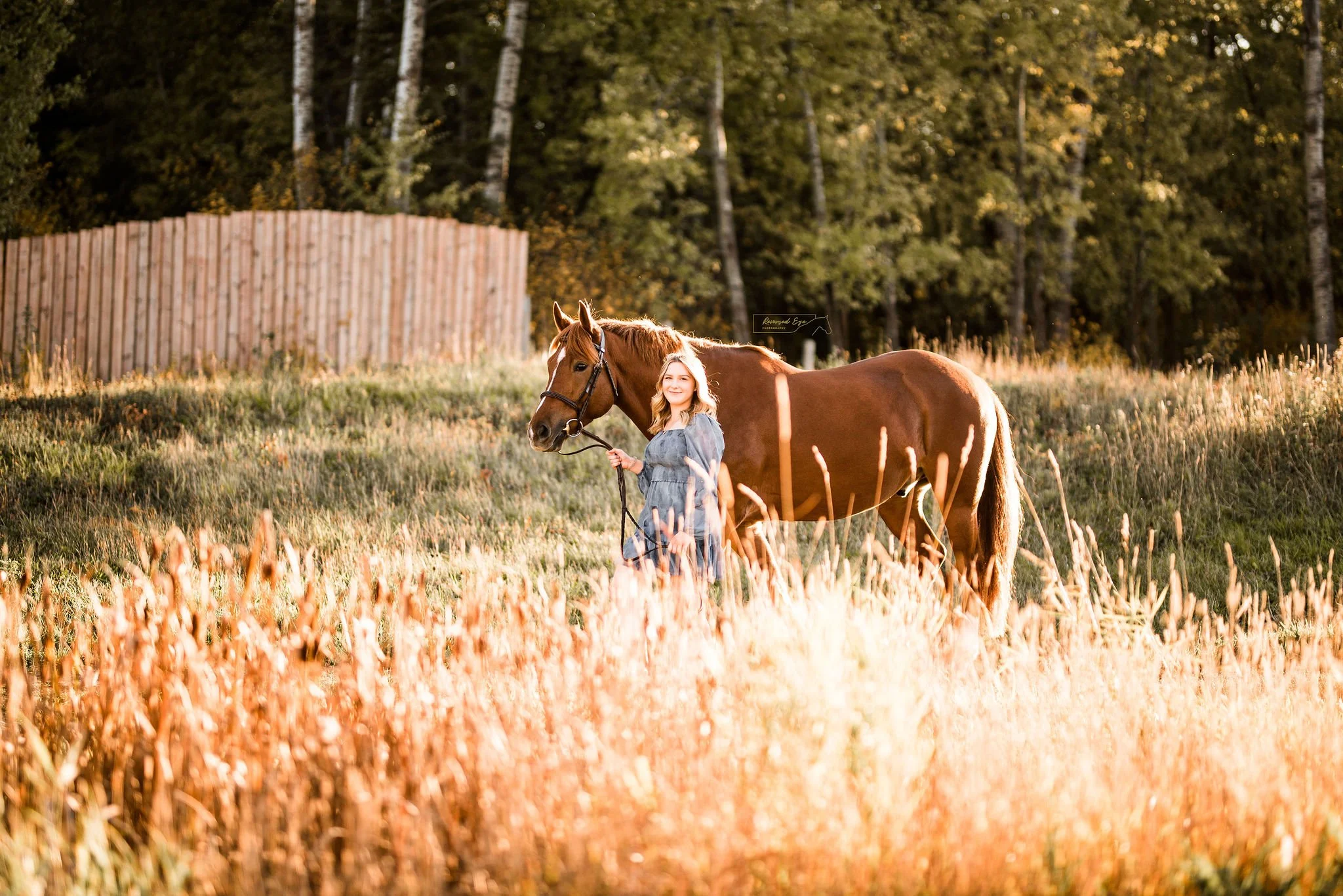 Light Chestnut Horse