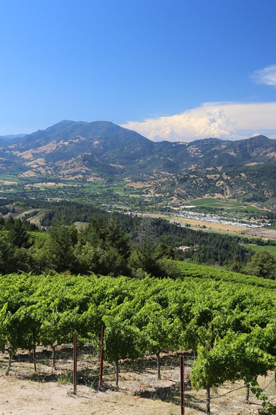 Tastings & Events — BIN 110