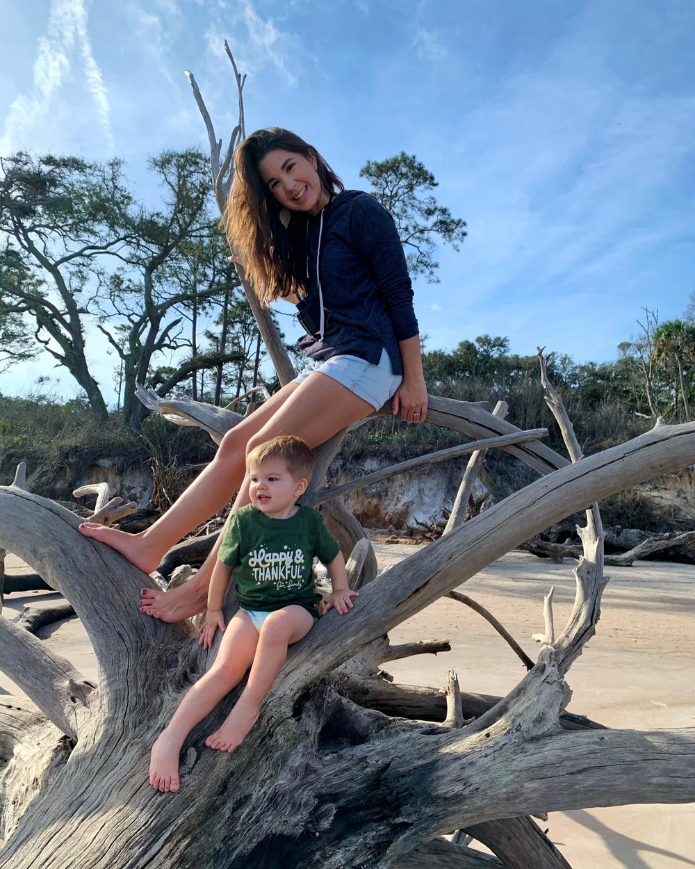 Are Dogs Allowed At Little Talbot Island