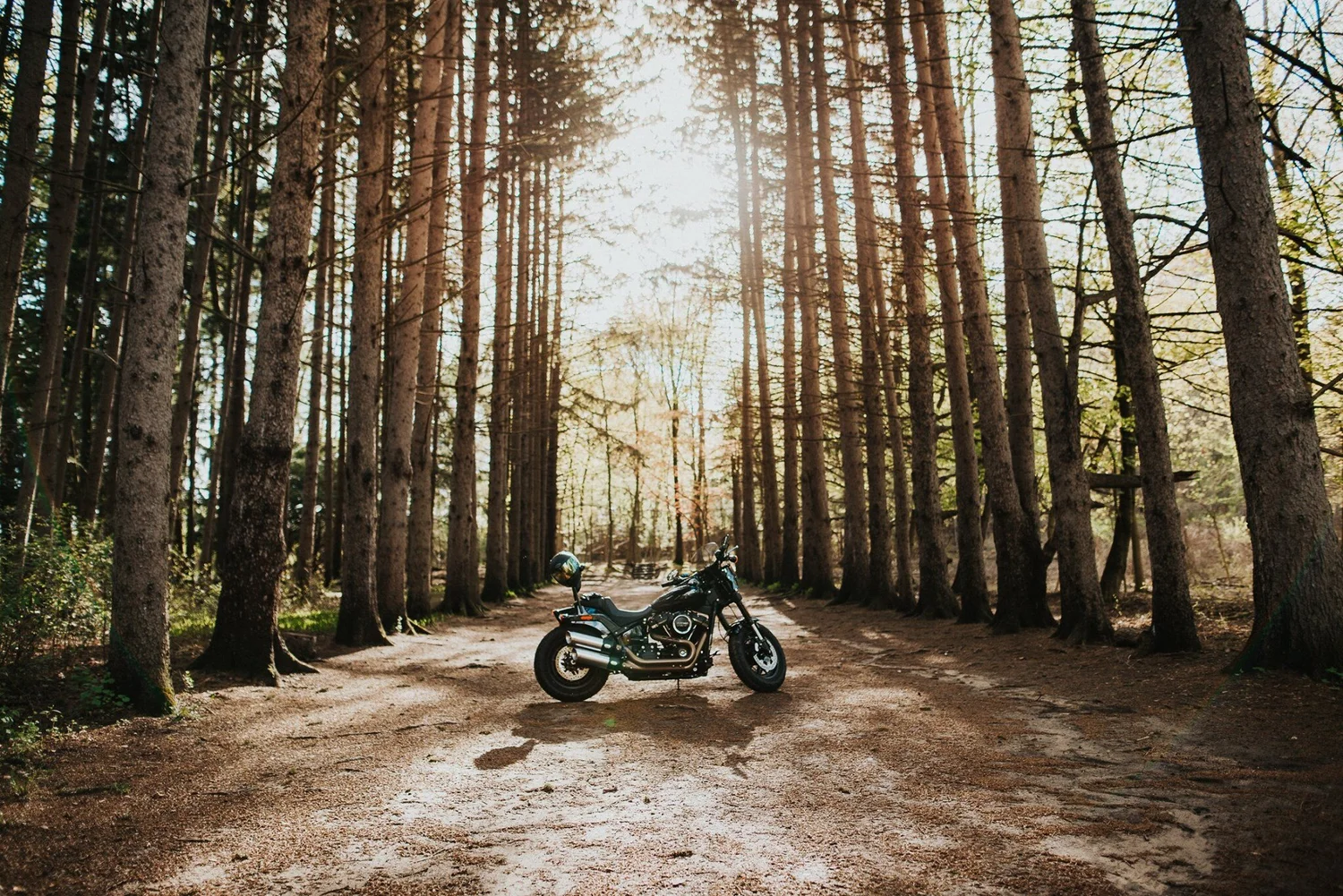 Harley Davidson Portraits — Rachelle Welling Photography