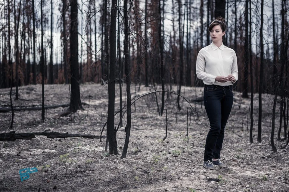 About the Artist — Rosemary Scanlon