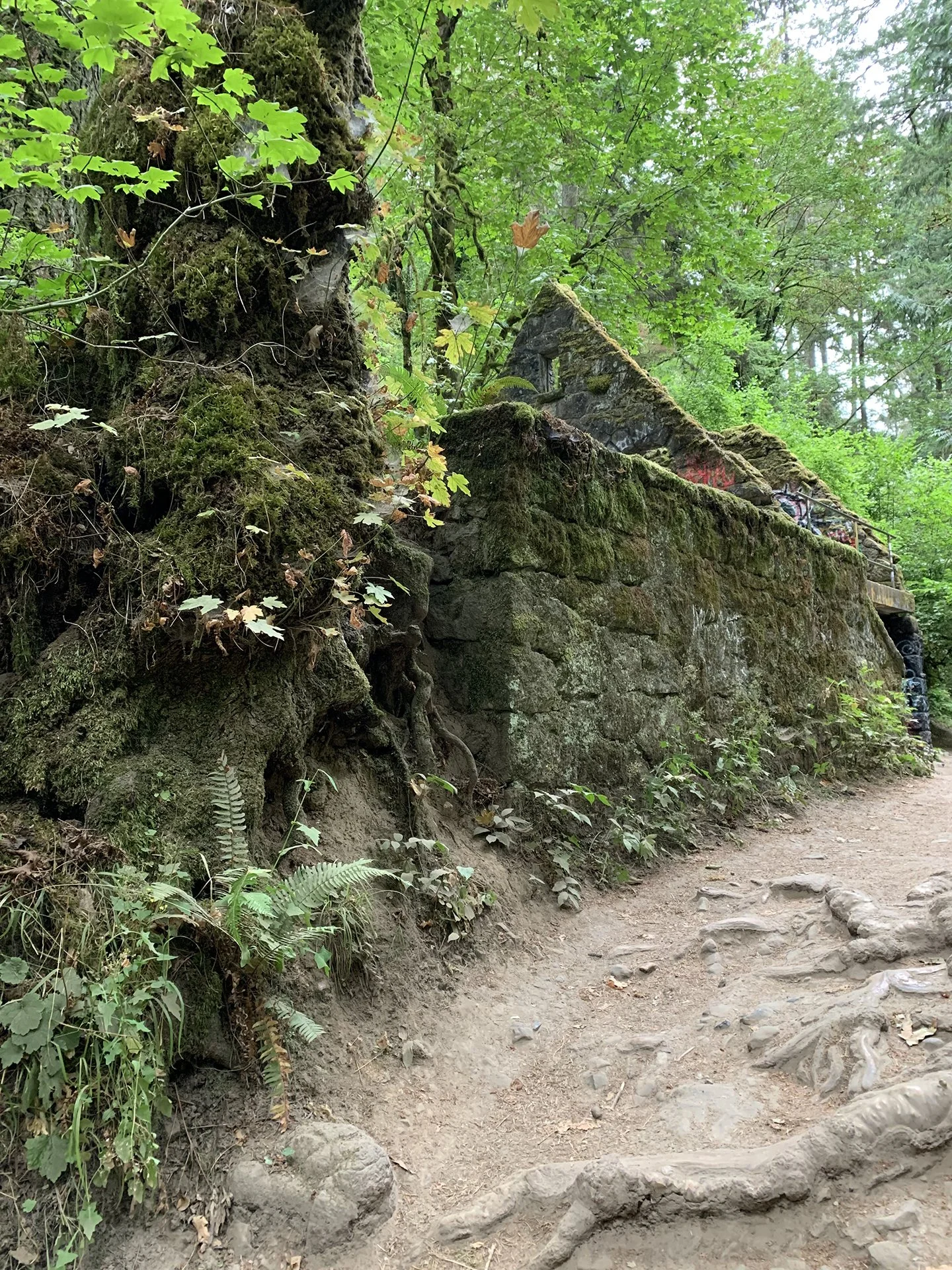 Portland, Oregon: The Witch's Castle and the Board Game from The ...