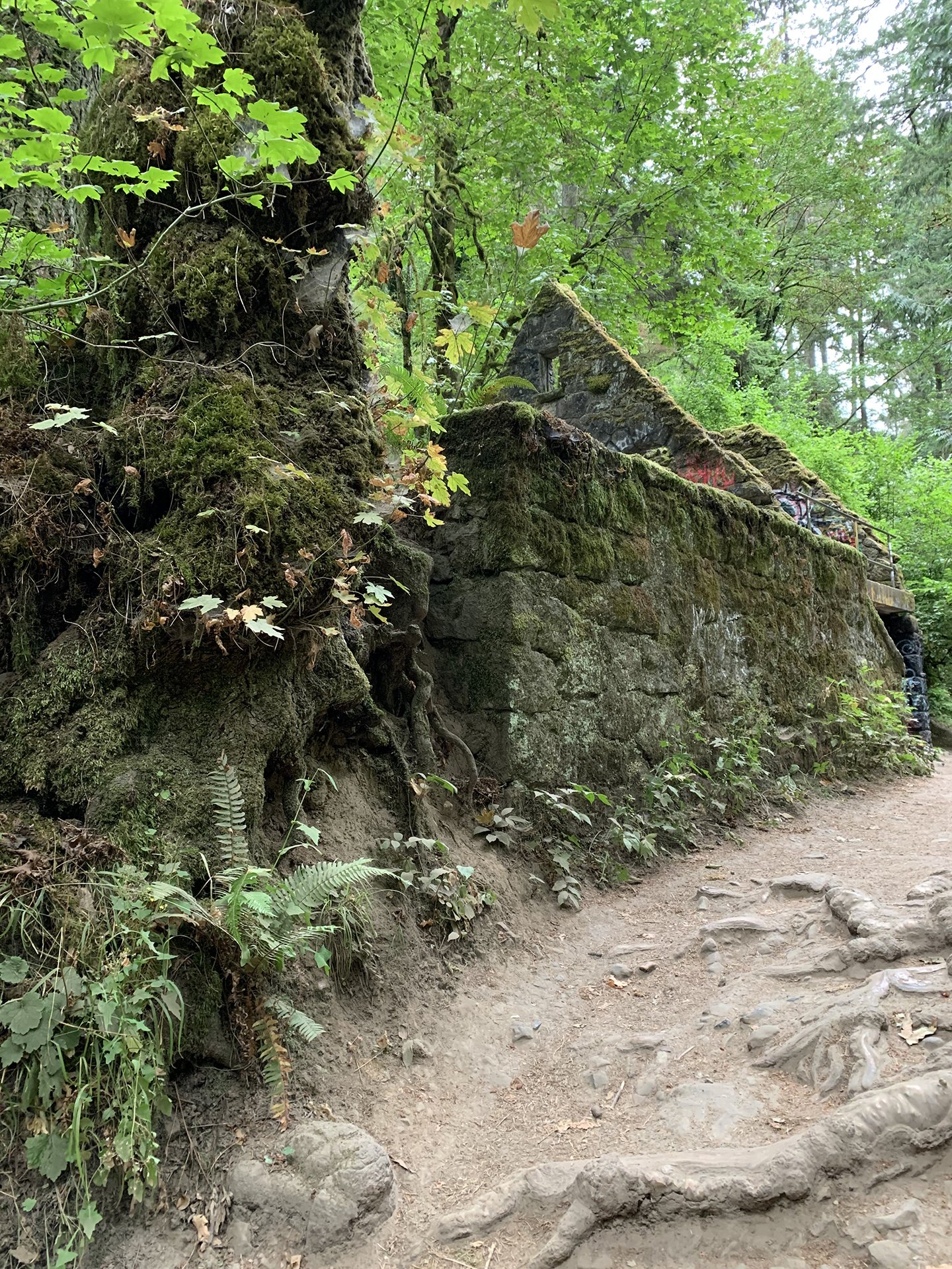 Portland, Oregon: The Witch's Castle and the Board Game from The ...