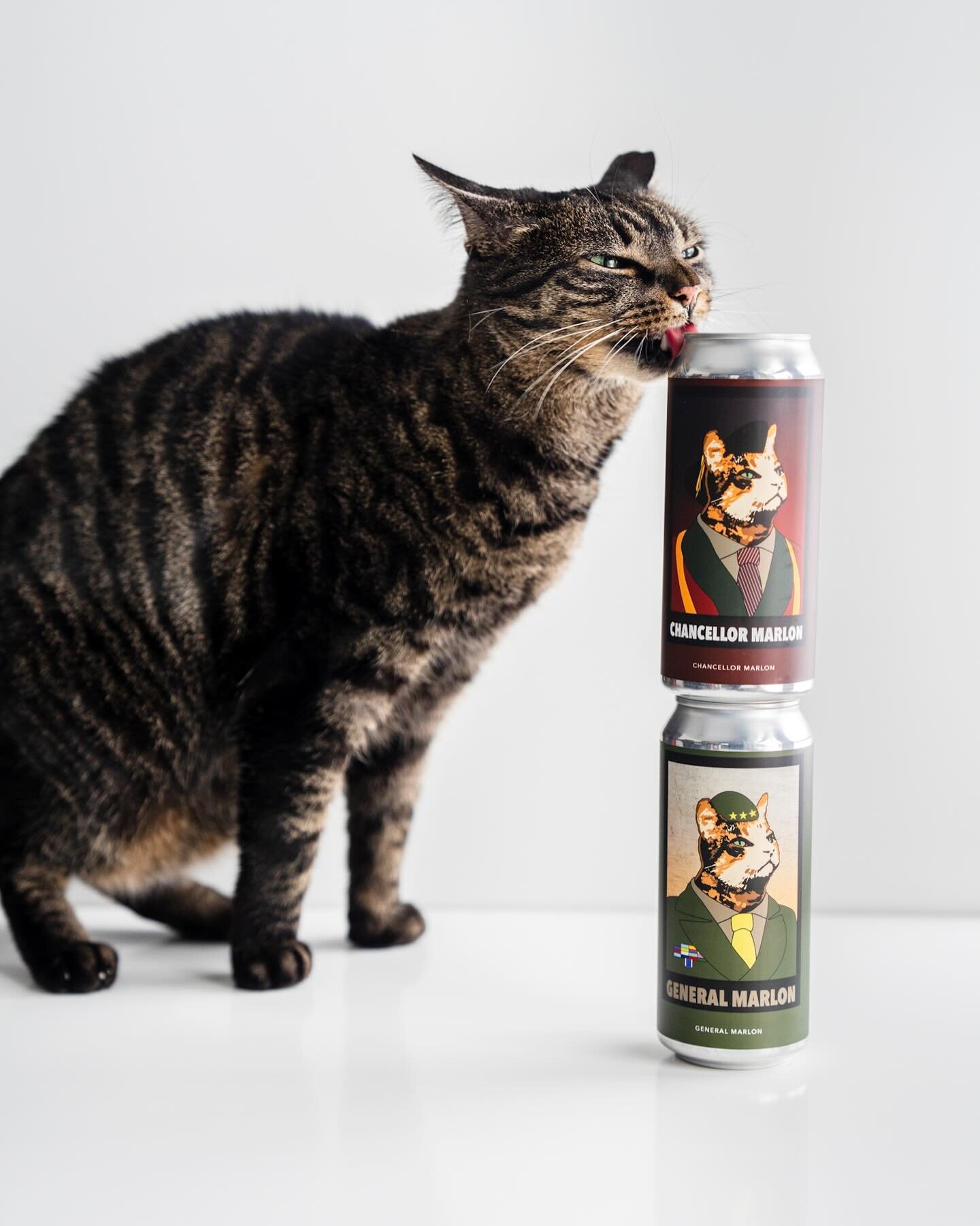 One Stop Brew Shop | Growlers | Kegs | Cans & Bottles