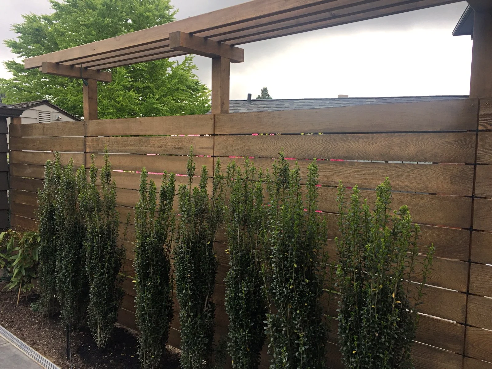 Mid-Century Modern — Chartreuse Landscaping