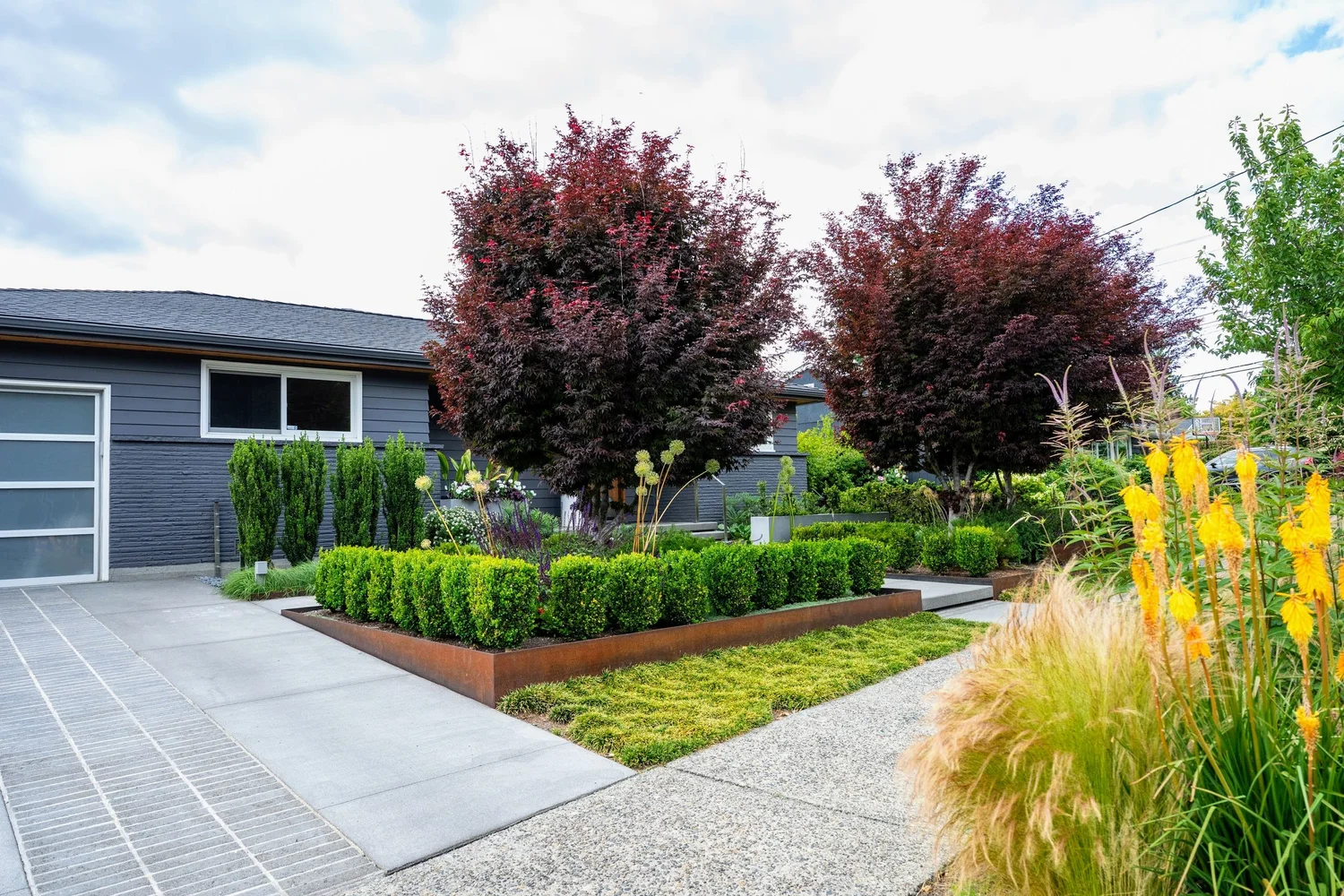 Mid-century Modernized — Chartreuse Landscaping