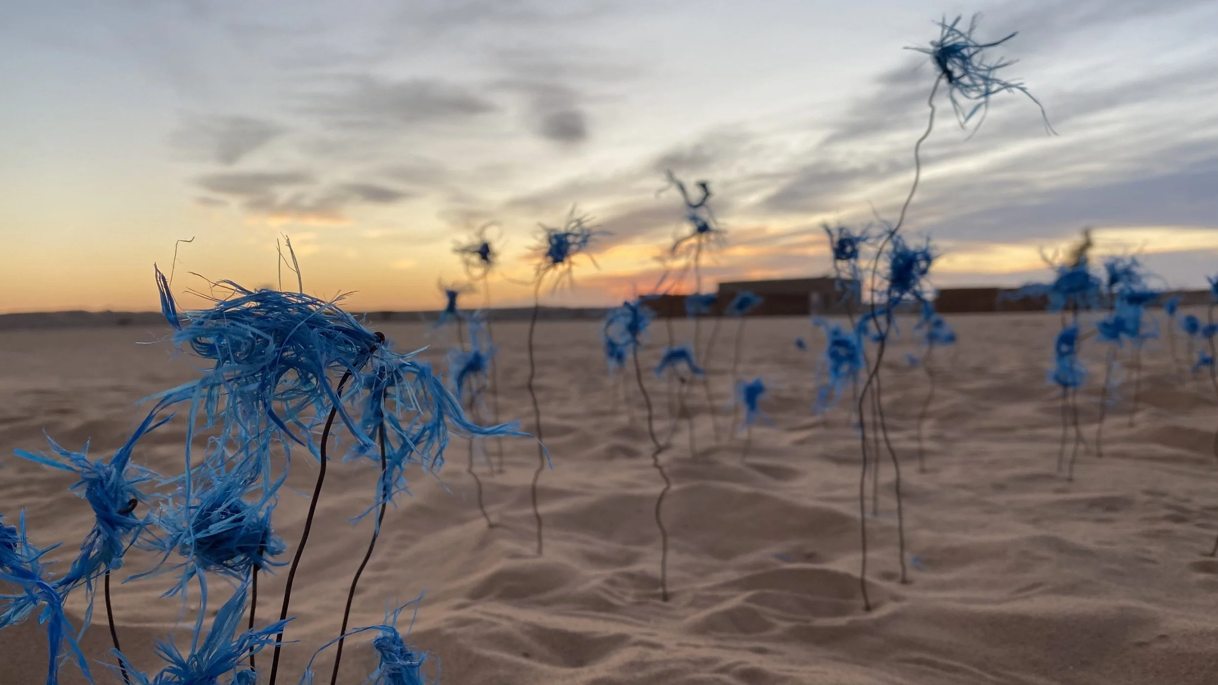 About — Thérèse Lynch