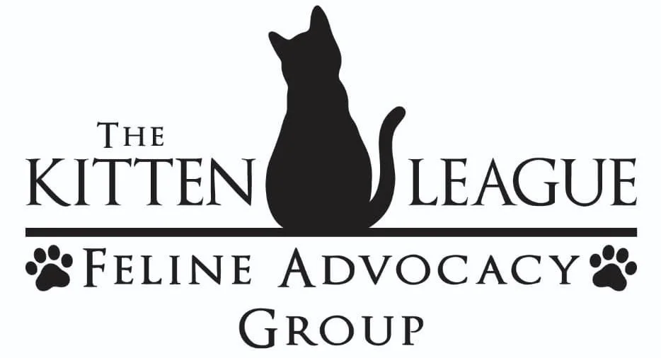 Kitten League — Beresford Vet Clinic PC