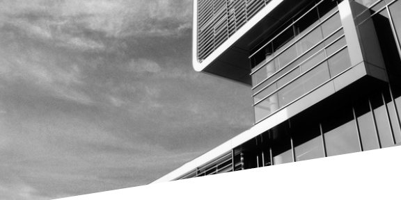 Publications and advice — MWM Consulting