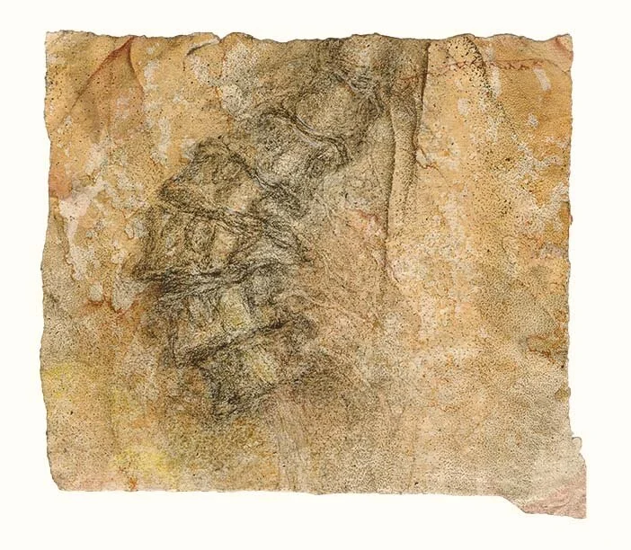 Consciousness of the body — Laura Ferguson