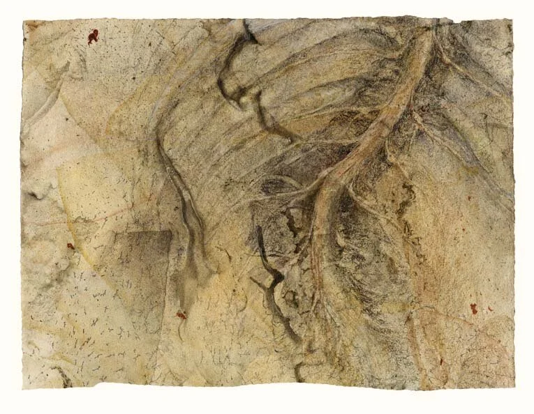 Consciousness of the body — Laura Ferguson