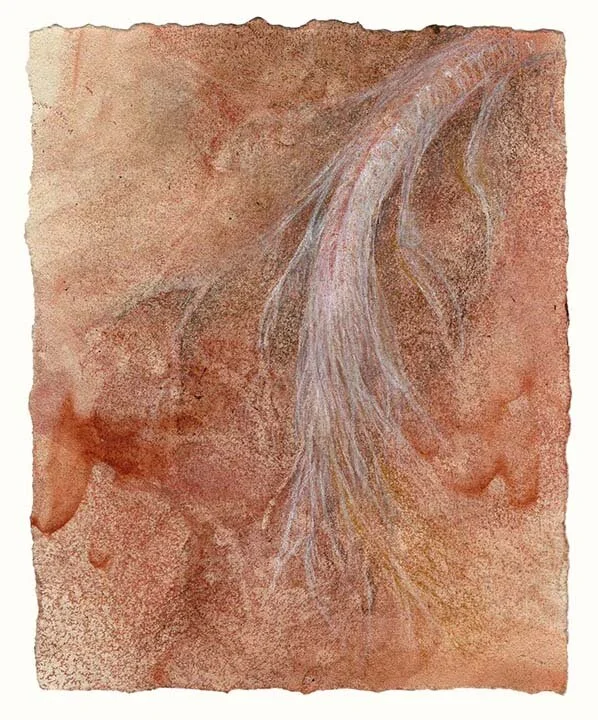 Consciousness of the body — Laura Ferguson