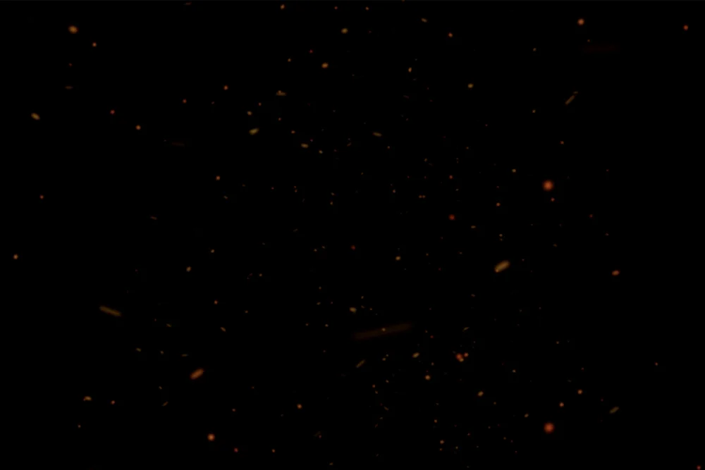 Studio — Robin Davis Studio