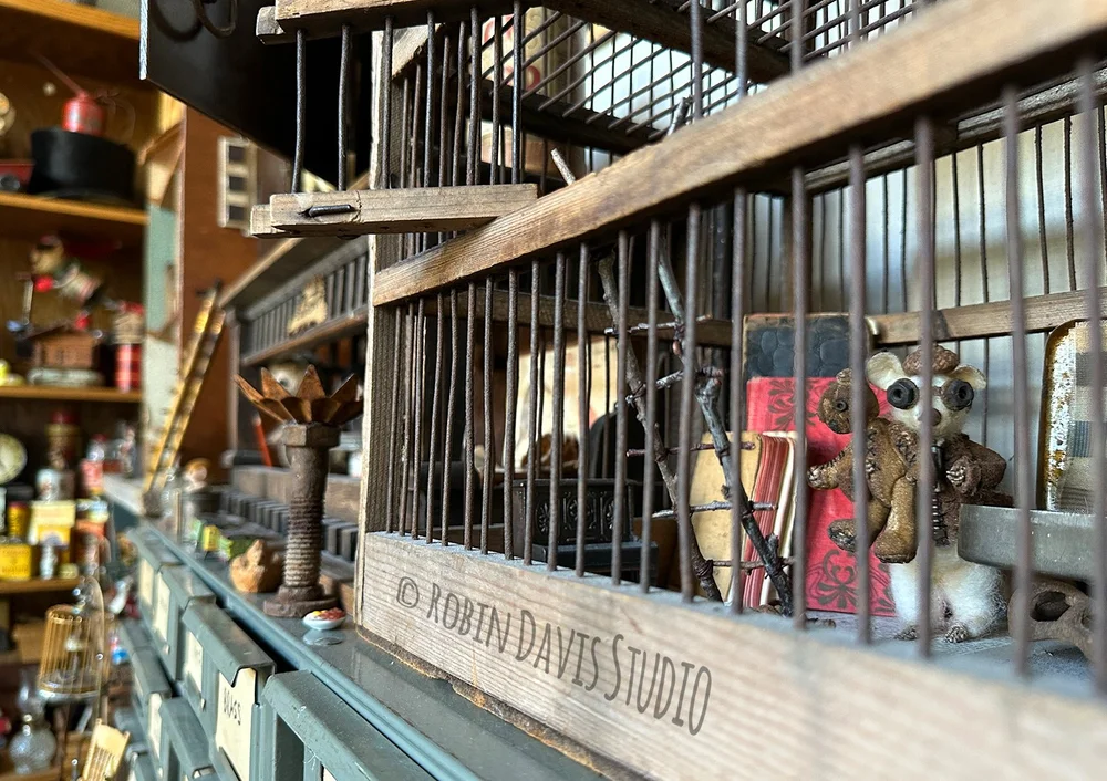 Studio — Robin Davis Studio