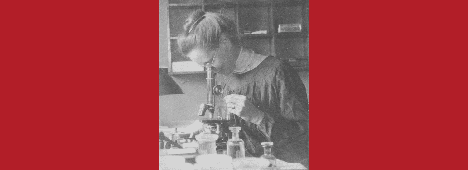 Nettie Maria Stevens: Celebrating the Work of a Remarkable Geneticist ...